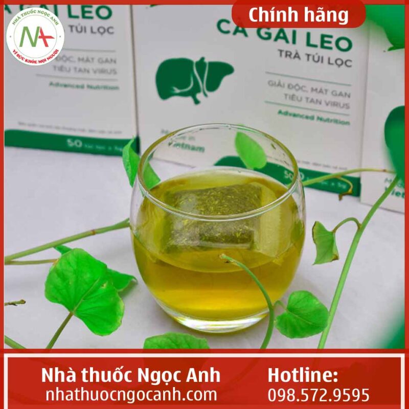 Trà túi lọc cà gai leo Tân Thành Green có tốt không, giá bao nhiêu, mua ...