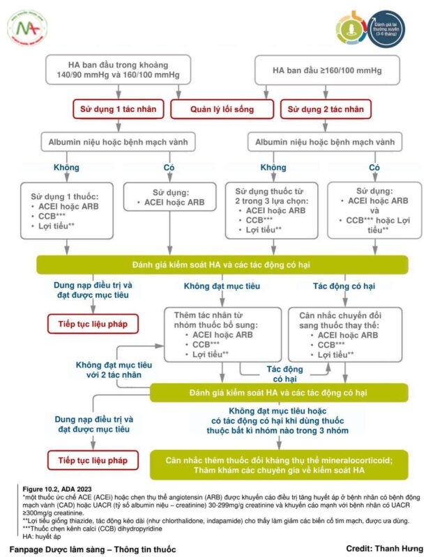 Cập nhật hướng dẫn điều trị đái tháo đường của Hoa Kỳ ADA 2023