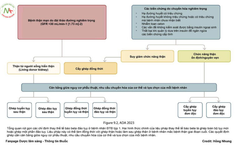 Cập nhật hướng dẫn điều trị đái tháo đường của Hoa Kỳ ADA 2023
