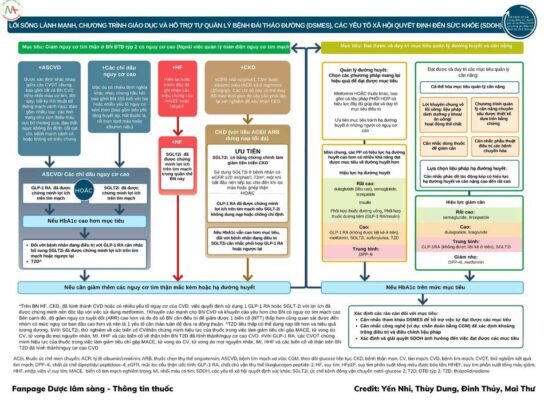 Cập nhật hướng dẫn điều trị đái tháo đường của Hoa Kỳ ADA 2023