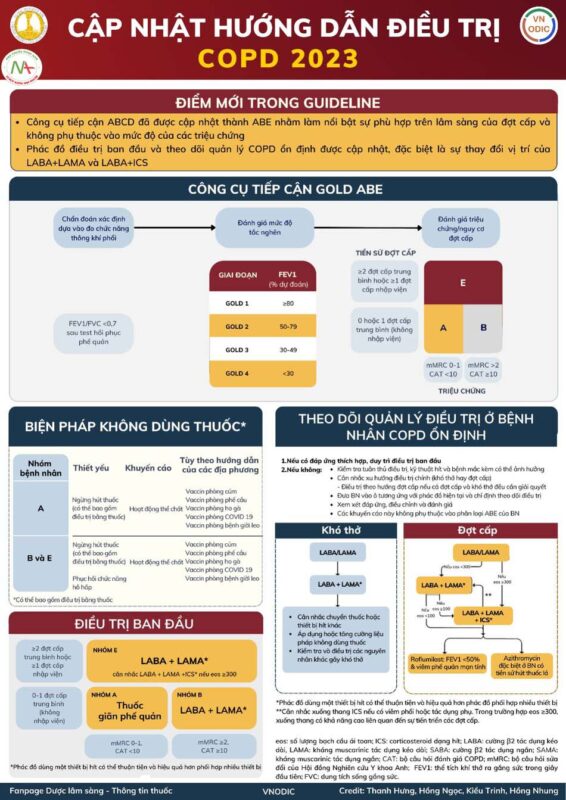 Cập nhật hướng dẫn điều trị bệnh phổi tắc nghẽn mãn tính COPD năm 2023