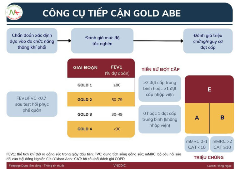 Cập nhật hướng dẫn điều trị bệnh phổi tắc nghẽn mãn tính COPD năm 2023