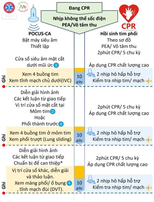 SESAME protocol và POCUS-CA siêu âm tại chỗ trong ngừng tim