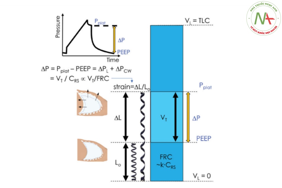 Tìm hiểu áp suất xuyên phổi là gì và các nguyên nhân gây ra