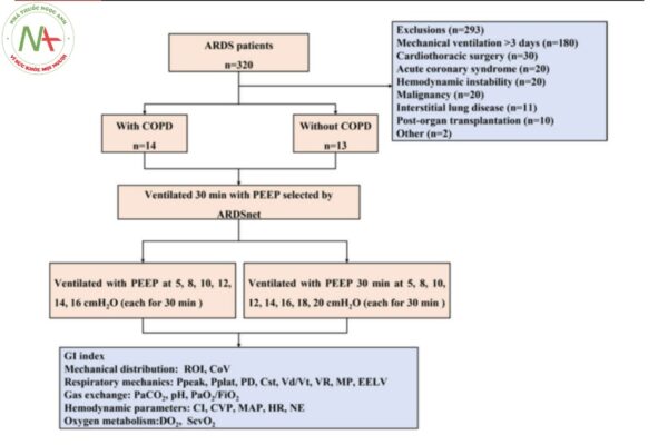 Cài đặt PEEP trên bệnh nhân ARDS bệnh nền COPD có gì khác bệnh nhân ...