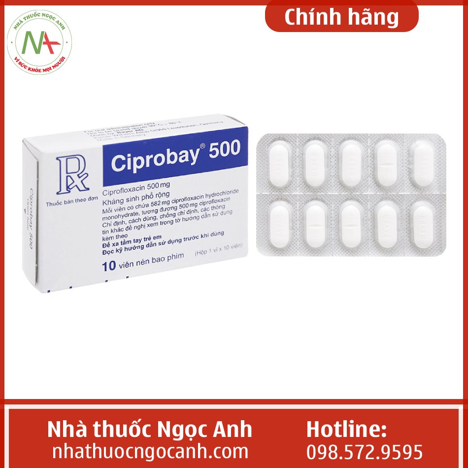 Thuốc Ciprobay 500mg là thuốc gì? Giá bao nhiêu? Mua ở đâu