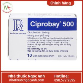 Thuốc Ciprobay 500mg là thuốc gì? Giá bao nhiêu? Mua ở đâu