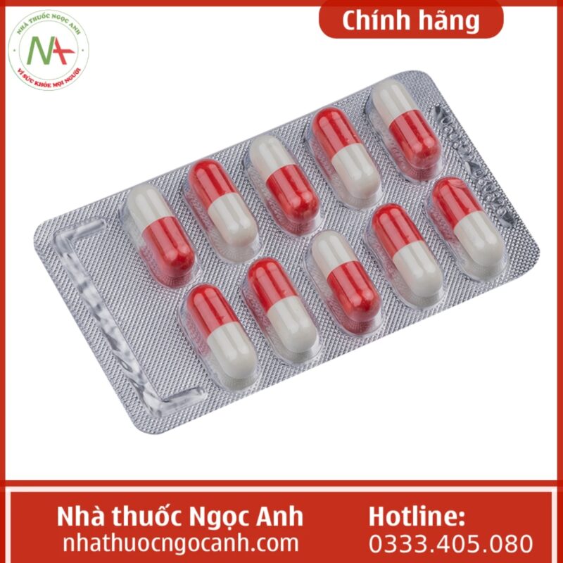 Thuốc Ampicilin 500mg Hataphar là thuốc gì, mua ở đâu, giá bao nhiêu?