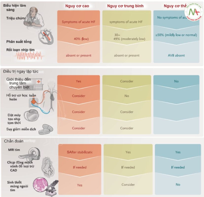 Viêm cơ tim: Dịch tễ, nguyên nhân, cơ chế bệnh sinh, điều trị