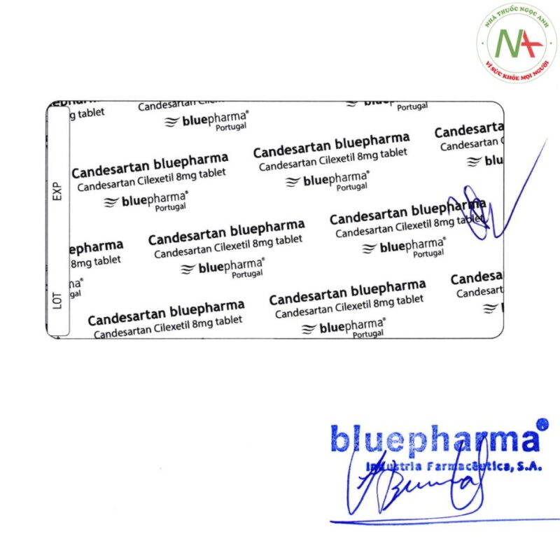 Thuốc Candesartan Bluepharma 8 mg là thuốc gì, giá bao nhiêu, mua ở đâu