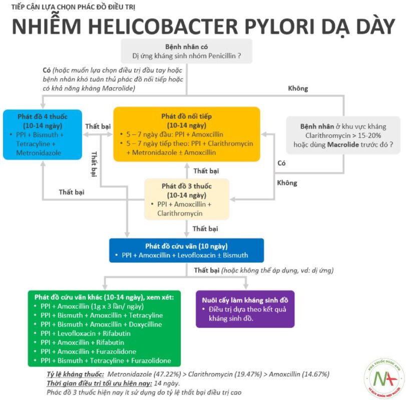 Hướng dẫn chẩn đoán và điều trị nhiễm Helicobacter pylori