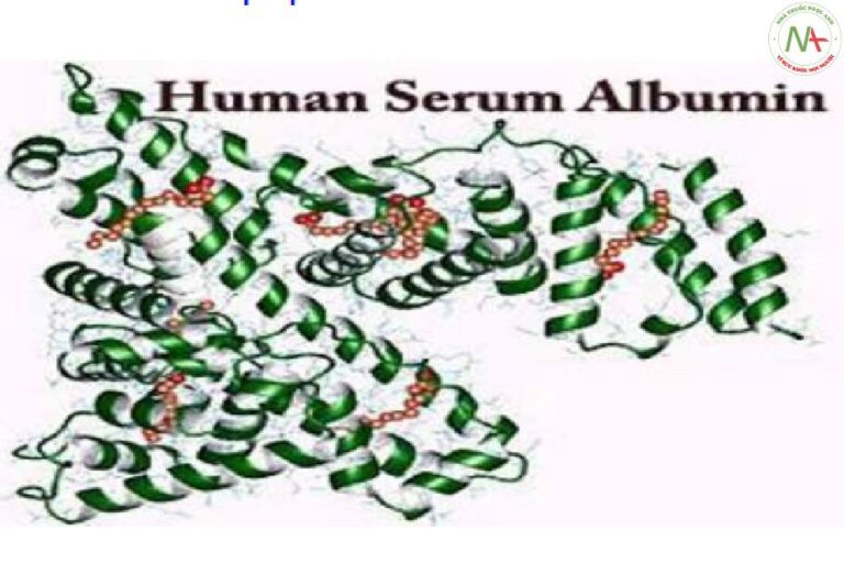 Hóa học Protid: Danh pháp, cấu trúc, vai trò, phân loại và các tính chất