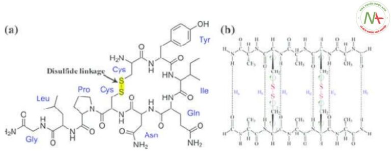 Hóa học Protid: Danh pháp, cấu trúc, vai trò, phân loại và các tính chất