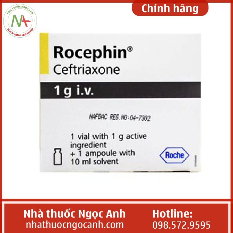 Thuốc Rocephin 1g I.V. là thuốc gì, mua ở đâu, giá bao nhiêu?