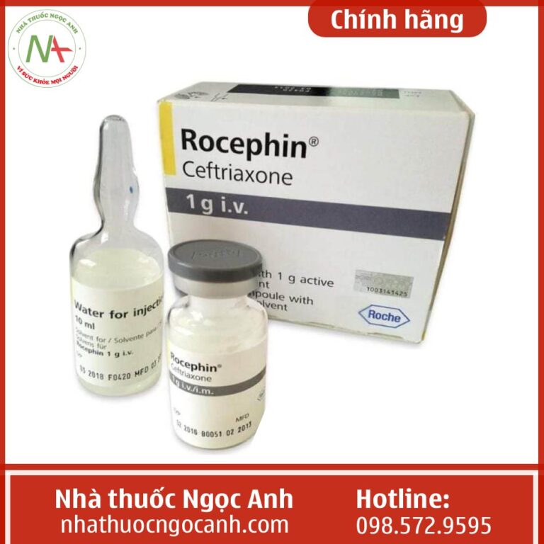 Thuốc Rocephin 1g I.V. là thuốc gì, mua ở đâu, giá bao nhiêu?