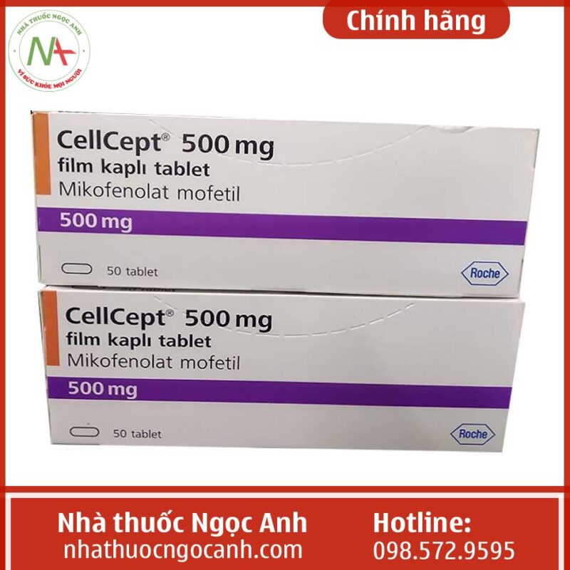 Thuốc Cellcept 500mg có tác dụng gì? giá bao nhiêu? mua ở đâu?