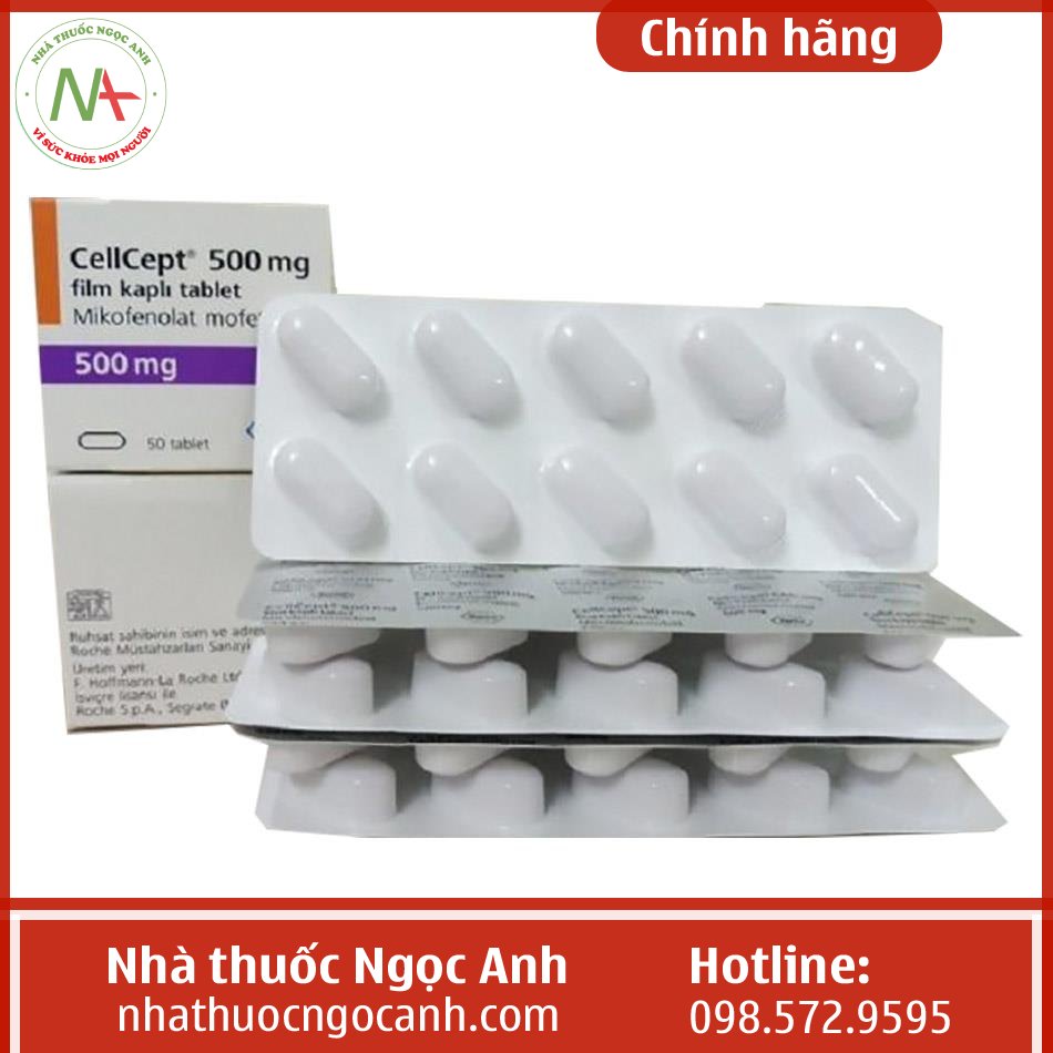 Thuốc Cellcept 500mg có tác dụng gì? giá bao nhiêu? mua ở đâu?