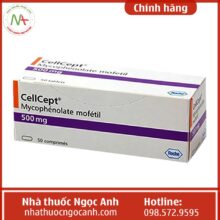 Thuốc Cellcept 500mg có tác dụng gì? giá bao nhiêu? mua ở đâu?
