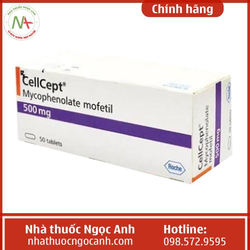 Thuốc Cellcept 500mg có tác dụng gì? giá bao nhiêu? mua ở đâu?