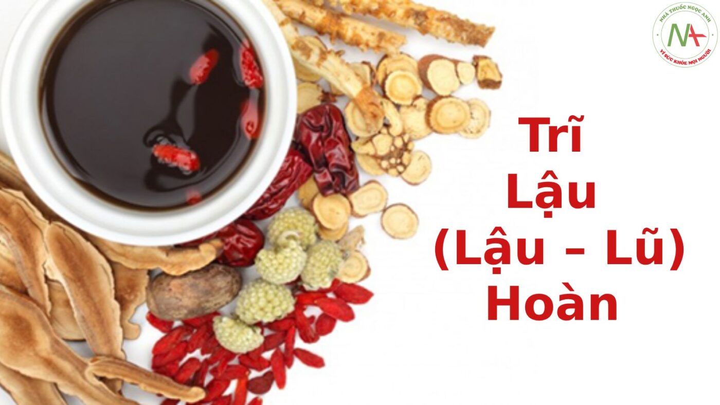 Trĩ Lậu (Lậu – Lũ) Hoàn - Thanh hỏa, giải độc, tiêu trĩ tan kết tự