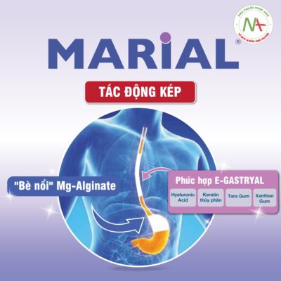Marial Gel có tác dụng gì, có tốt không, mua ở đâu?