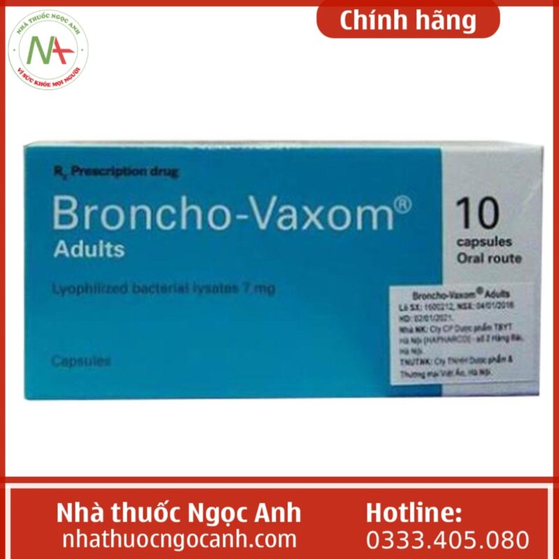 Thuốc Broncho-Vaxom Adults 7mg là thuốc gì, giá bao nhiêu, mua ở đâu