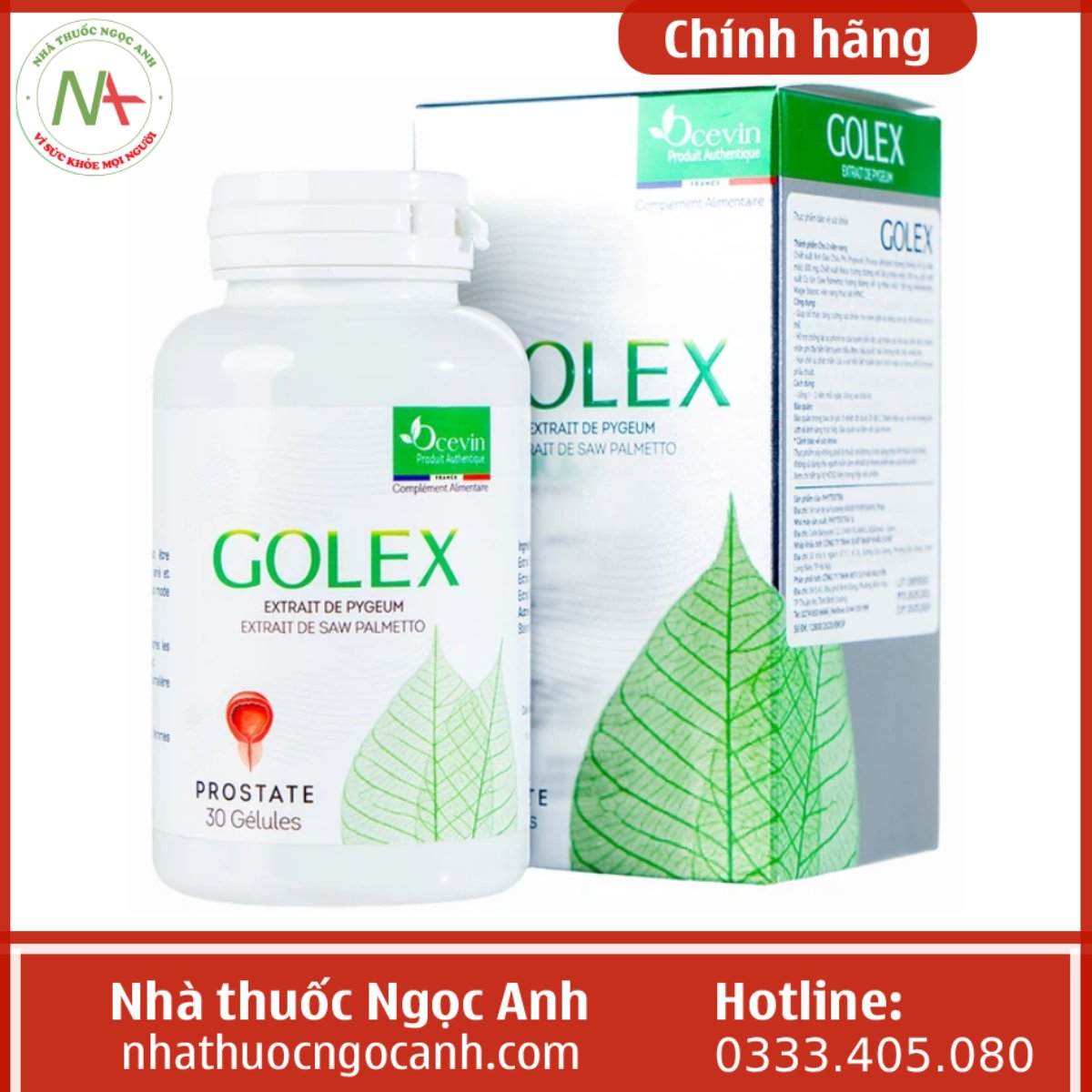 Thuốc Golex có tốt không? giá bao nhiêu? mua ở đâu