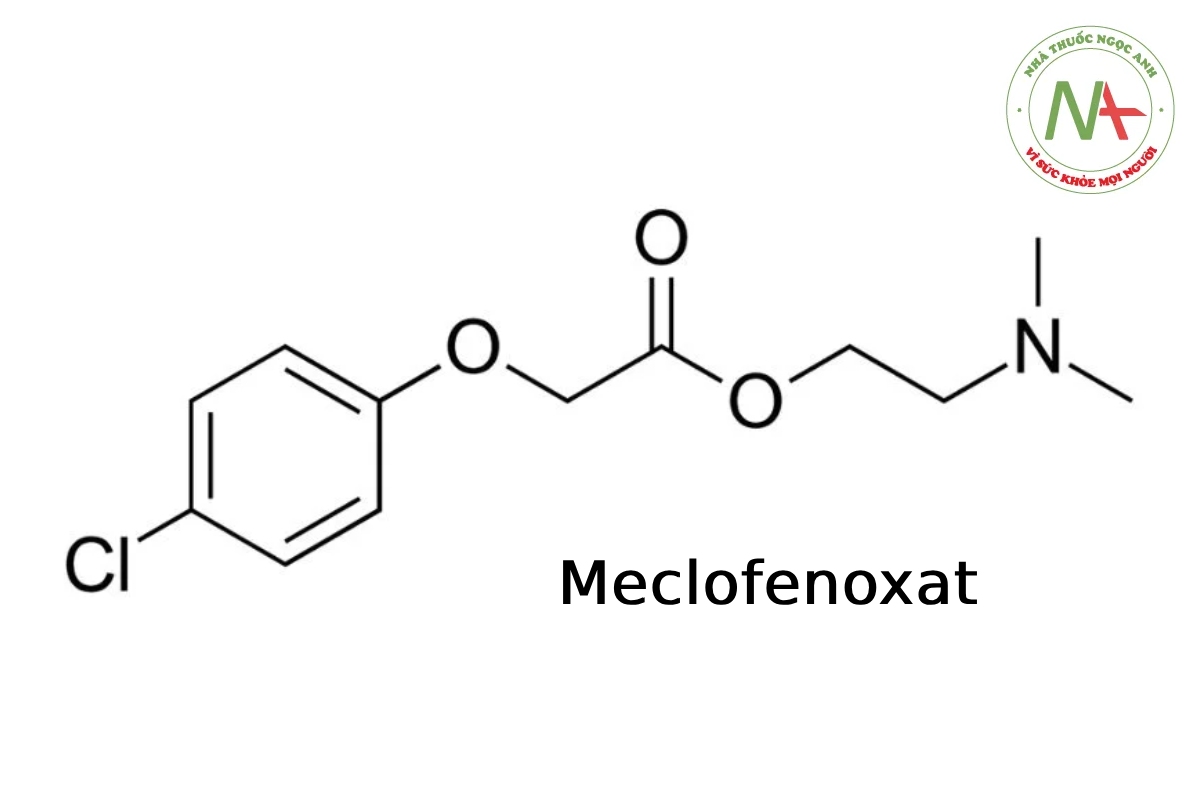 Meclofenoxate là thuốc gì? Dùng trong trường hợp nào? Lưu ý khi sử dụng