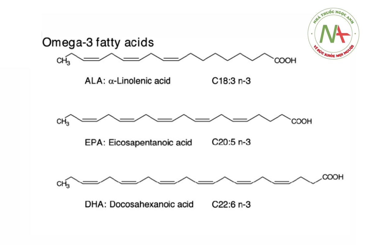 Thuốc Omega-3 là thuốc gì? Có tác dụng như thế nào? Cách sử dụng hiệu quả
