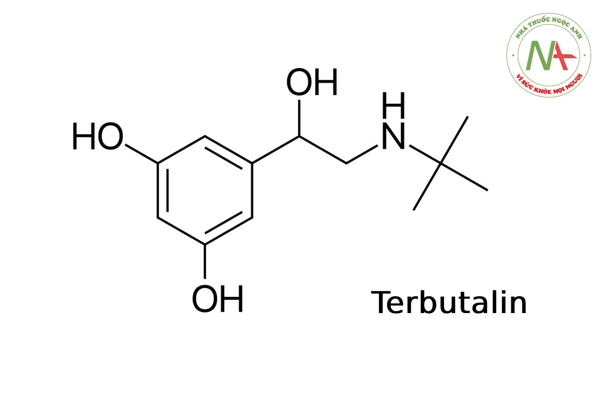 Terbutaline là thuốc gì? Công dụng là gì? Tác dụng phụ như thế nào