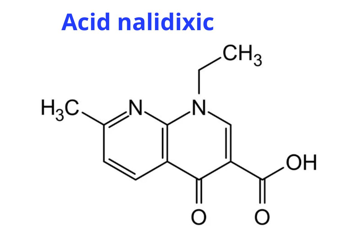 Acid nalidixic là thuốc gì? Có tác dụng gì? Thuộc nhóm kháng sinh nào