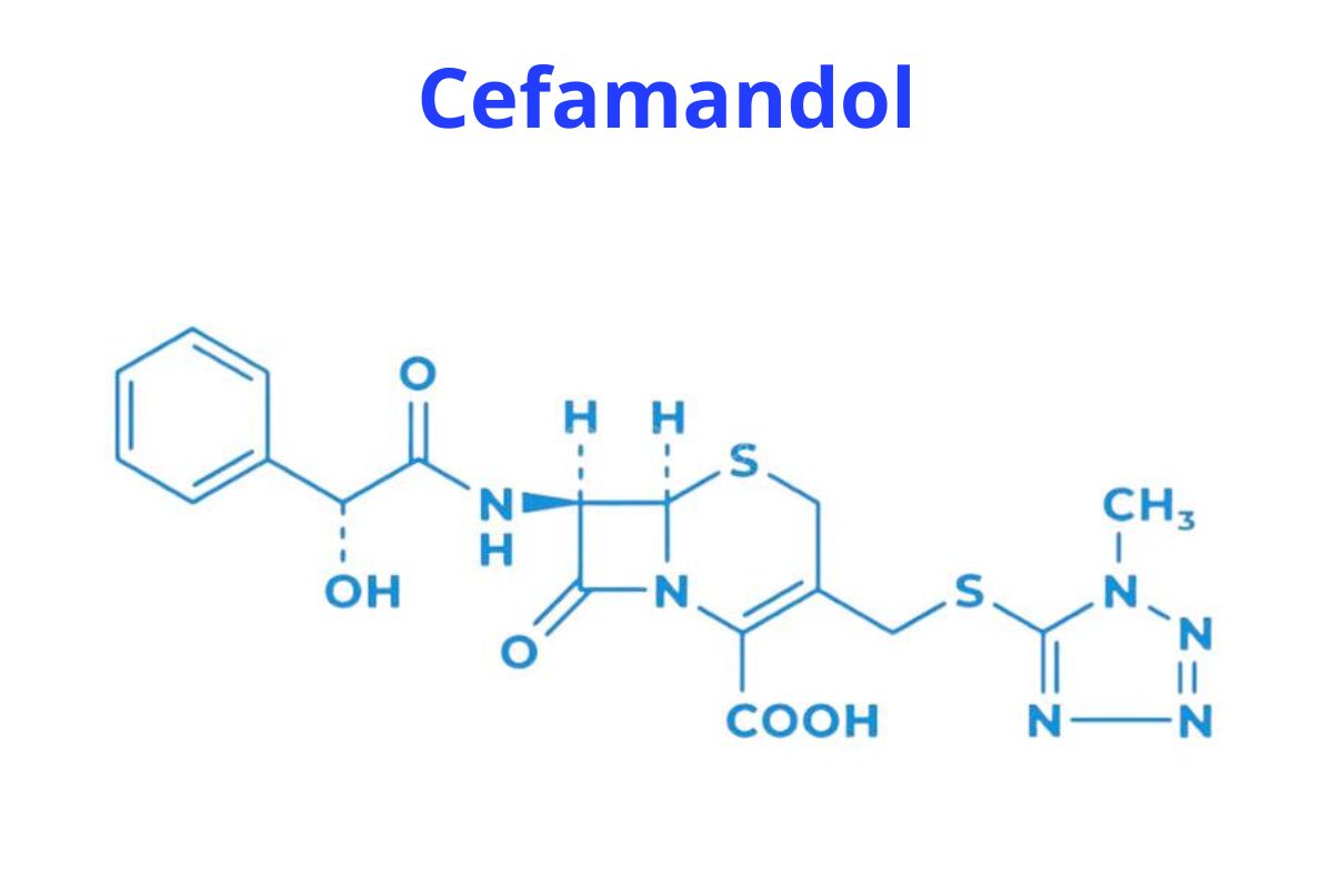 Cefamandol - Nhà thuốc Ngọc Anh