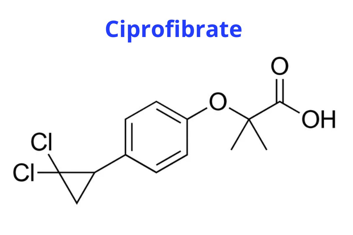 Ciprofibrate là thuốc gì? Công dụng như thế nào? Tác dụng phụ của thuốc