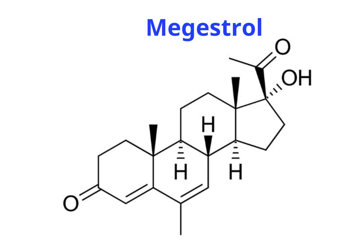 Megestrol là thuốc gì? Có tác dụng gì? Tác dụng phụ như thế nào