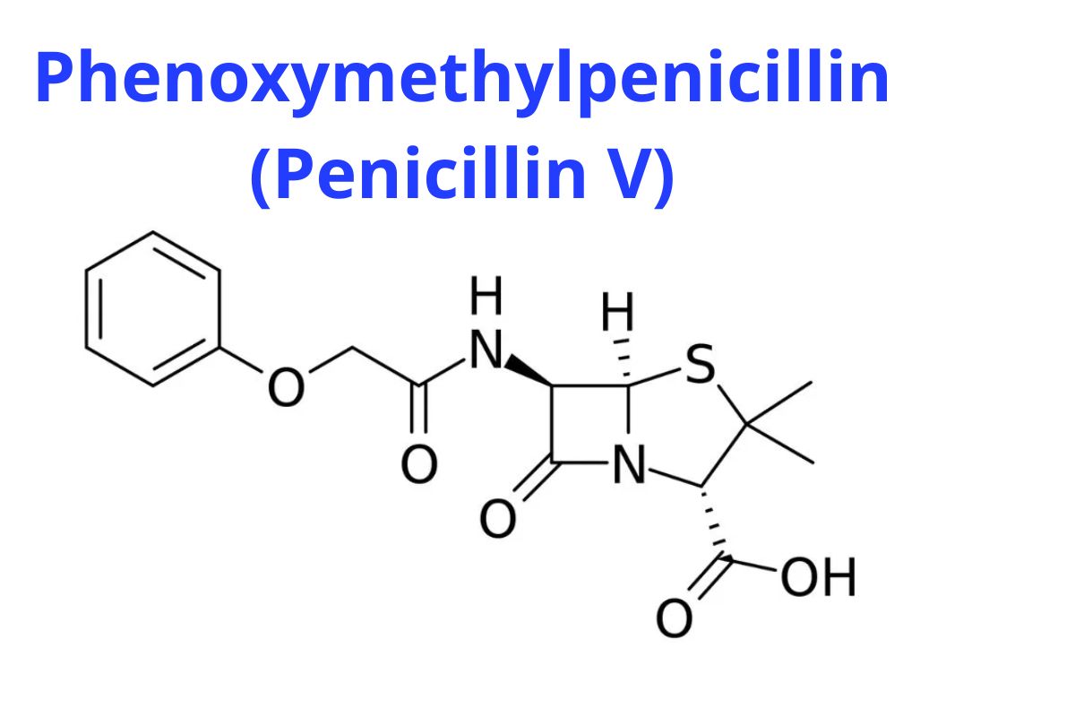 Thuốc Phenoxymethylpenicillin (Penicillin V) - Kháng sinh nhóm beta lactam