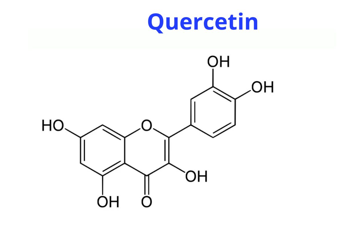 Quercetin là hoạt chất gì? Tác dụng là gì ? Có trong thực phẩm nào?