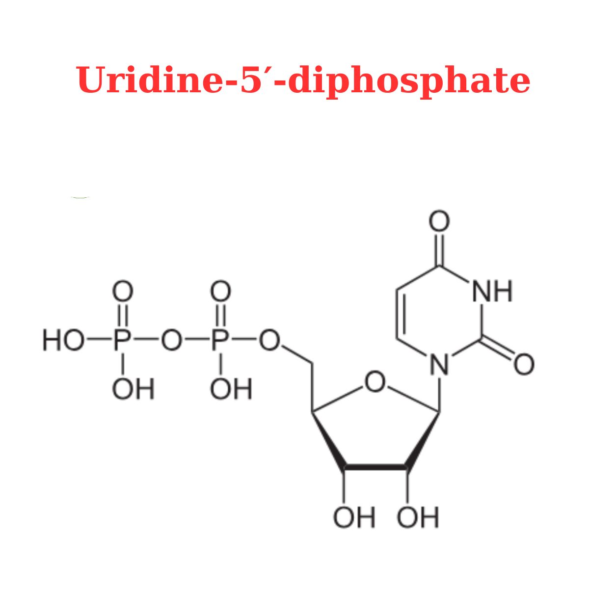 Uridine-5'-diphosphate điều trị các bệnh lý tổn thương thần kinh