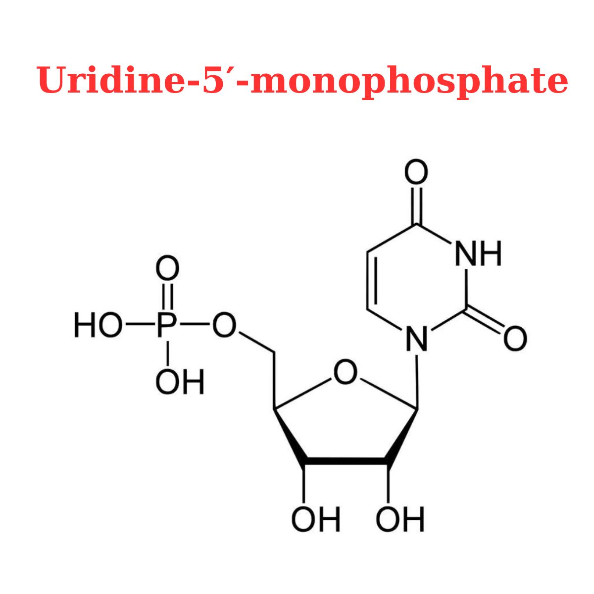 Uridine Monophosphate là thuốc gì? Tác dụng là gì? Lưu ý khi dùng