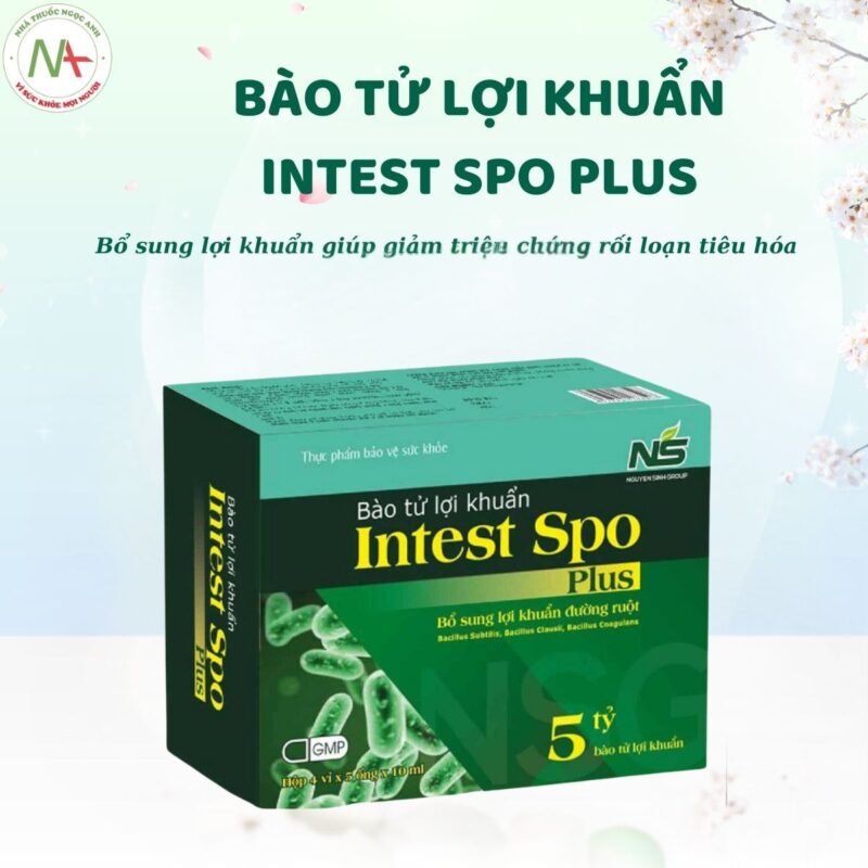 Bào tử lợi khuẩn Intest Spo Plus có tốt không, giá bao nhiêu, mua ở đâu?