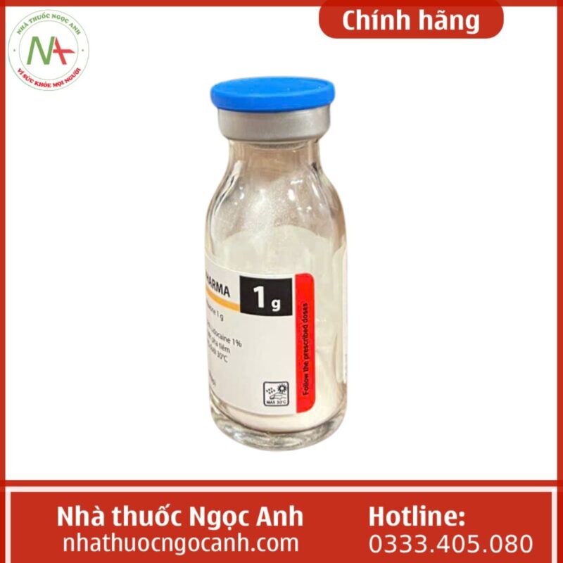 Thuốc Ceftriaxone Panpharma 1g là thuốc gì, có tác dụng gì, giá bao nhiêu?