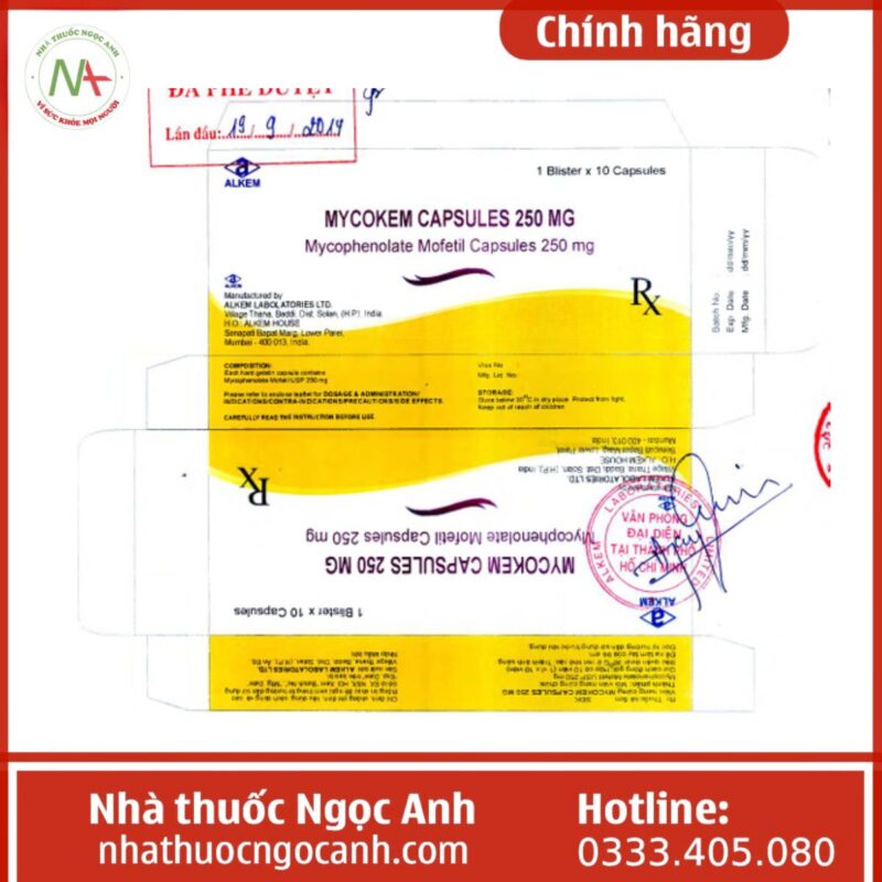 Thuốc Mycokem capsules 250mg (Mycophenolat mofetil) có tác dụng gì?
