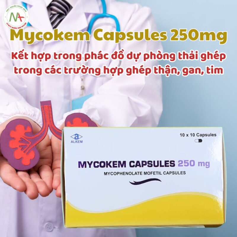 Thuốc Mycokem capsules 250mg (Mycophenolat mofetil) có tác dụng gì?