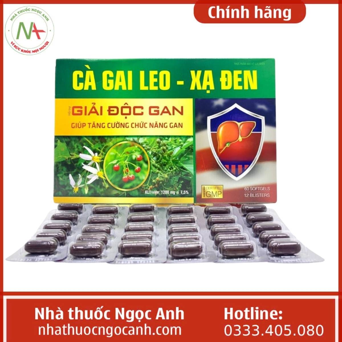 Cà Gai Leo - Xạ Đen Tradiphar có công dụng gì? Giá bao nhiêu?