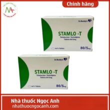 Thuốc Stamlo-T 80/5 (Telmisartan, Amlodipine) có tác dụng gì?