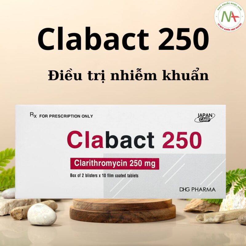 Thuốc Clabact 250 (Clarithromycin) là thuốc gì, có tác dụng gì?