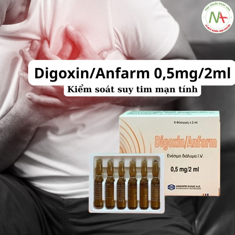 Thuốc Digoxin/Anfarm 0,5mg/2ml (Digoxin) là thuốc gì, có tác dụng gì?