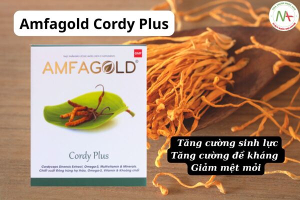 Amfagold Cordy Plus có tác dụng gì, có tốt không, giá bao nhiêu?