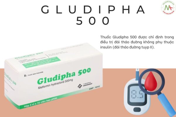 Thuốc Gludipha 500 (Metformin) giá bao nhiêu? Mua ở đâu uy tín?