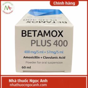 Thuốc Betamox Plus 400 (Acid Clavulanic, Amoxicillin) có tác dụng gì?